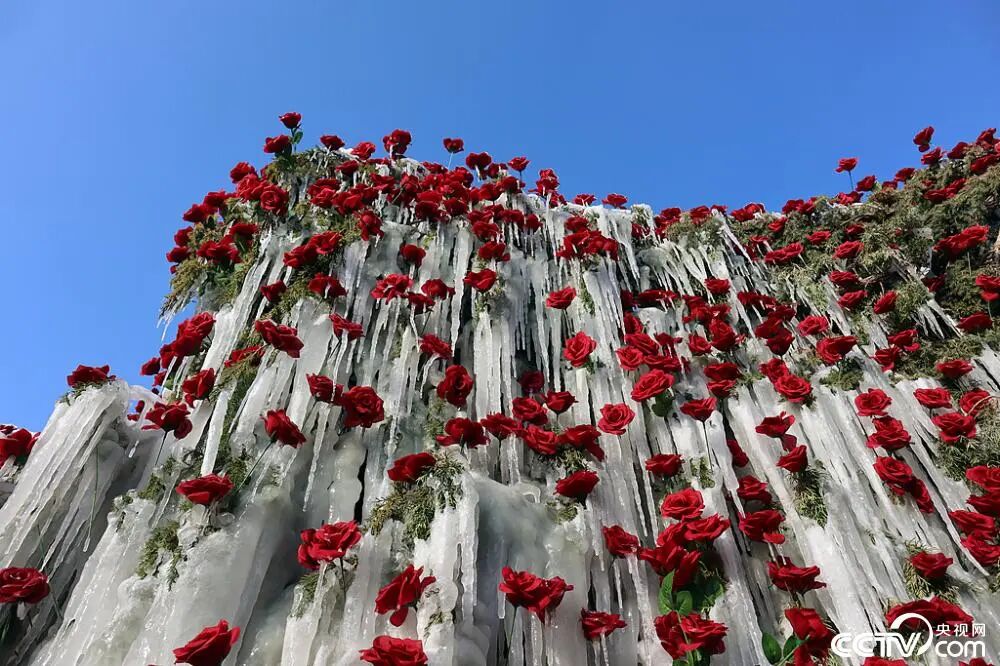 惊喜上线！新疆，你是懂浪漫的！|川观新闻