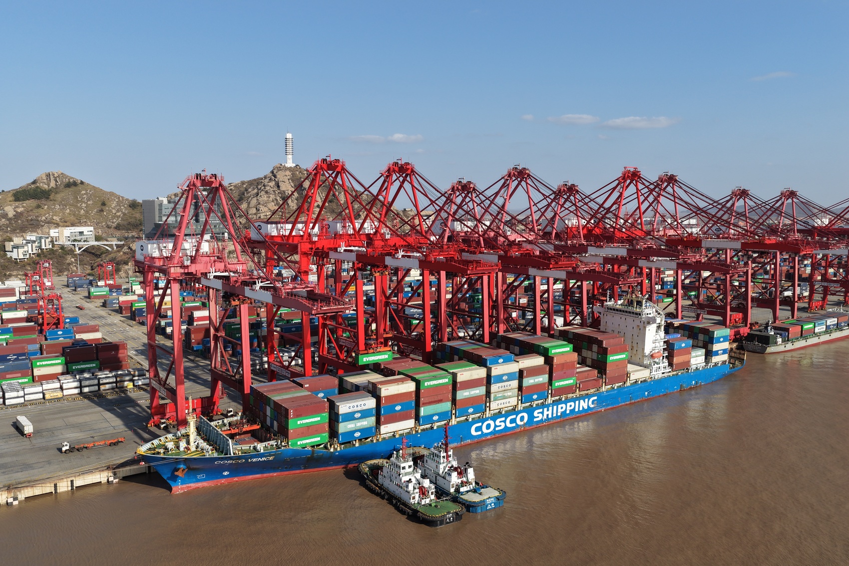 高质量发展大市场丨洋山港拓宽新航路|川观新闻