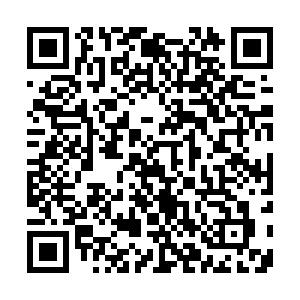 “花1588元看演唱会，看了整晚后脑勺”！他们把主办方和票务告了 - 川观新闻