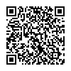 委内瑞拉代总统将派特使赴美|川观新闻