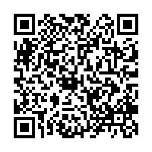 从“宝华”到“文秀”，一朵月季为何能“名垂花史”？|川观新闻