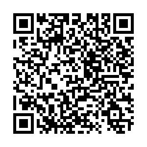 “康复”后的鹭岛湖变美了|川观新闻